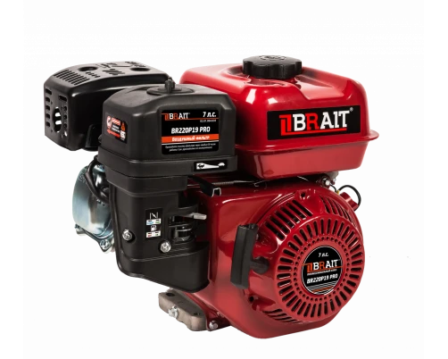 Petrol engine BR220P19 PRO | Enex
